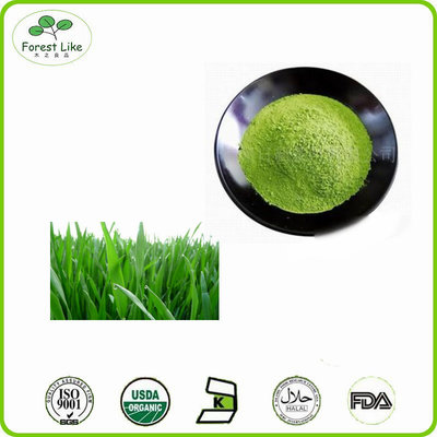 China High Quality Barley Grass Powder supplier