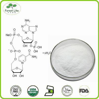China Best price CAS 53-84-9 Nicotinanide Adenine Dinucleotide supplier
