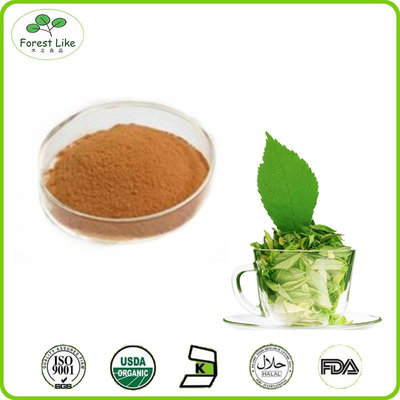 China Organic Natural Green Tea Extract 98% Tea Polyphenol supplier