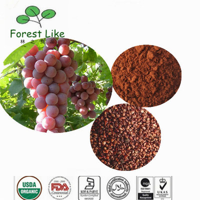 New Type,High Efficient and Delicated Grape Seed Extract supplier