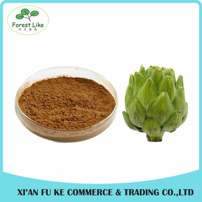Plant Extract 100% Natural Artichoke Extract / Cynarin 2.5% 5% supplier