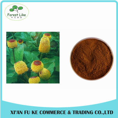 GMP Manufacturer Supplying High Quality Healthy for Hair Spilanthol 10:1 Acmella Oleracea Flower Extract supplier