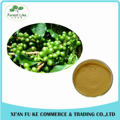 Best Selling Product Free Sample No Additives High Ratio Promote Decrease of Blood  Effect  Areca Nut Extract supplier
