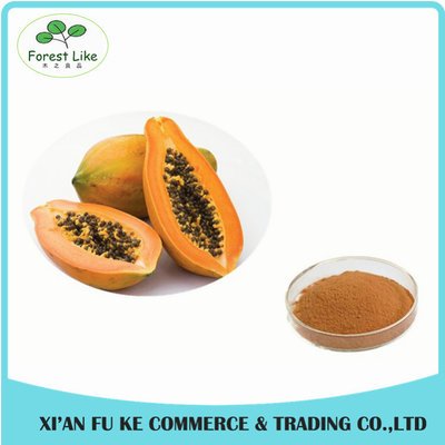 Nutritional Food Ingredients Anti-cancer  Spray Dried 100% Natural Papaya Seed Extract supplier