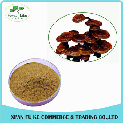 Anti-tumor Chinese Magical Herb Wild Lingzhi Shell-broken Spore Powder supplier