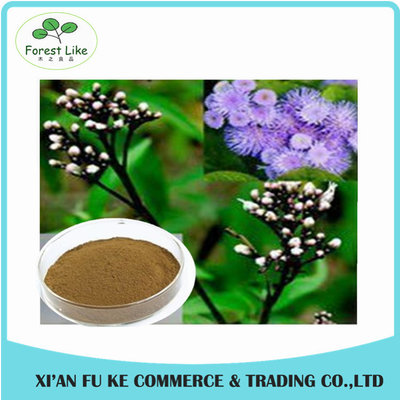 Factory Supply Low Price Plant Extract Pure Boneset Herb Extract 10:1 Properties Toner not Buffy supplier