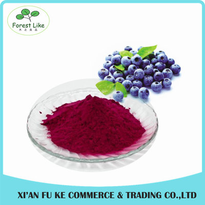 Natural Bilberry Extract / Blueberry Extract / Anthocyanidins / Fruit powder supplier