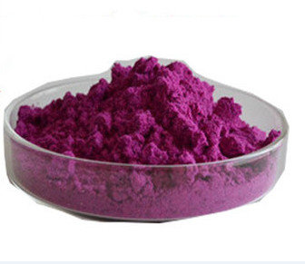 Food Ingredients Fruit Extract Red Pitaya Extract Powder supplier
