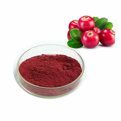Food Ingredients Fruit Extract 100% Natural Bilberry Extract Powder supplier
