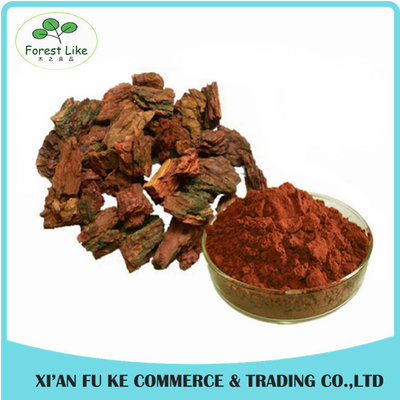 Manufacturer Supply Organic Natural Pine Bark Extract for Skin Care supplier