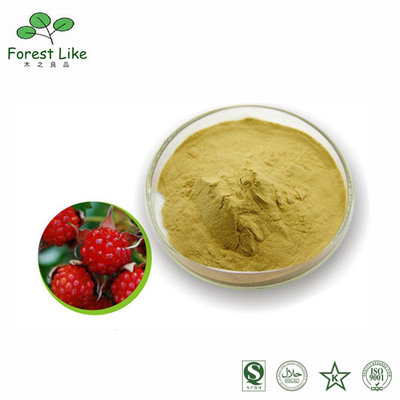 100% Natural Wild Raspberry Extract Natural Berries Juice Powder Free Sample supplier