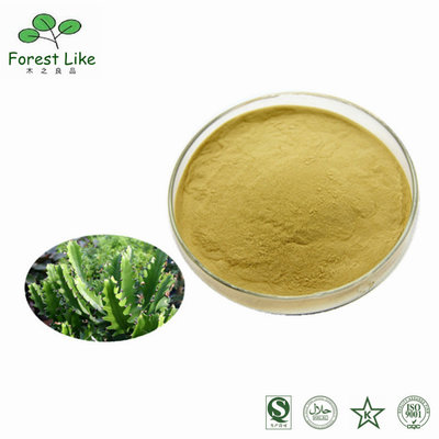 Factory Price Natural Cactus Extract for Medicine Free Sample supplier