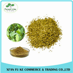 Best Selling Natural Yerba Mate Extract Polyphenol Tannin acid supplier