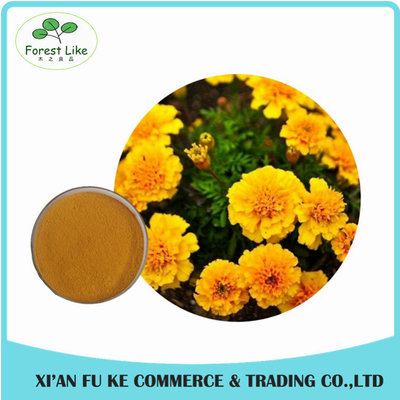 Eye Health Product  Marigold Powder Extract  Lutein 5 % - 20 % supplier