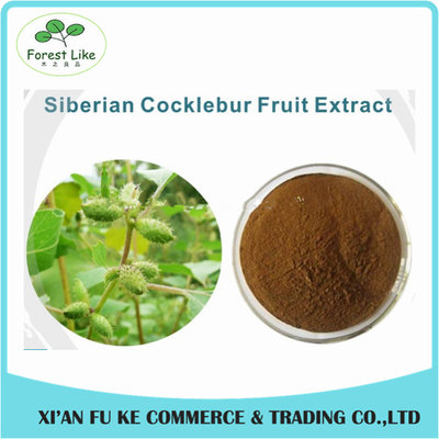 Low Price Siberian Cocklebur Fruit Extract Powder 5:1 10:1 supplier