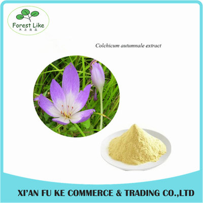 Best Selling Colchicum Extract Colchicine 98% CAS NO:64- 86 - 8 supplier