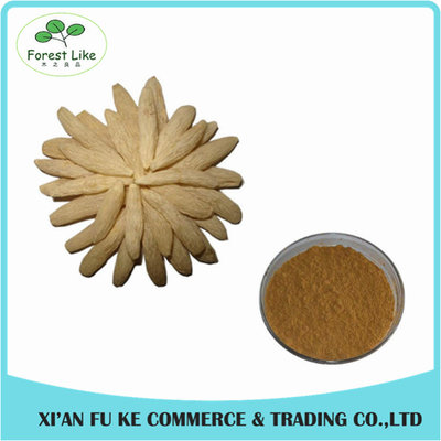 Chinese Herbal Medicine Ophiopogon Japonicus Extract Powder 5:1 - 20:1 supplier