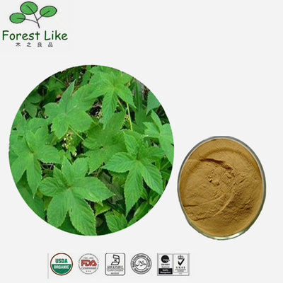 Dietary Supplement Nature Plant Brown Herbal Devils Claw Leaf Extract supplier