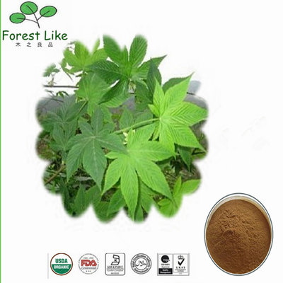 Dietary Supplement Nature Plant Brown Herbal Devils Claw Leaf Extract supplier