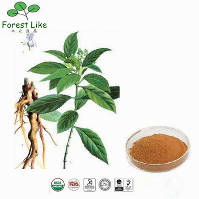 Superior Quality Featured Product 5%-98%Chlorogenic Acid Honeysuckle Flower Extract supplier