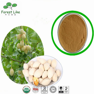 Professional Wholesales Chinese Natural Ginkgo Seed Extract supplier