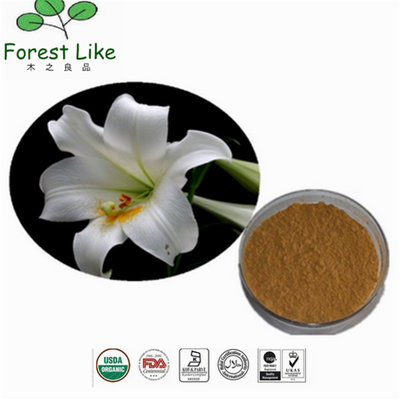 Pure Natural Lily Extract Powder 10:1 supplier