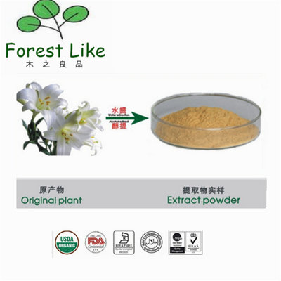 Pure Natural Lily Extract Powder 10:1 supplier