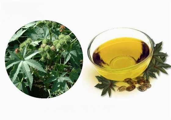 Organic Pure Manufacturers Bulk Farwell Cold Pressed Castor Oil for Cooking supplier