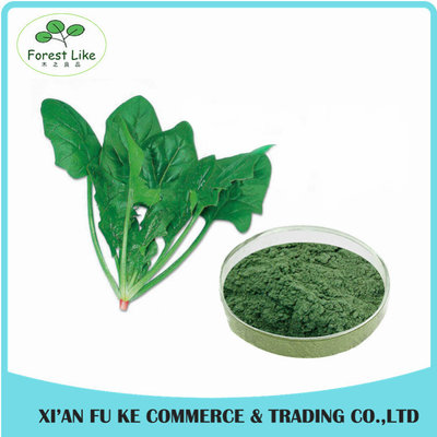Vagetable P.E. Spinach Powder / BoBcai Powder without Additive supplier