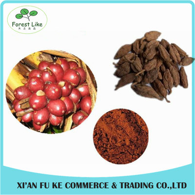 Tsaoko Amomum Fruit Extract / Fructus Tsaoko Extract Powder 4:1 - 20:1 supplier