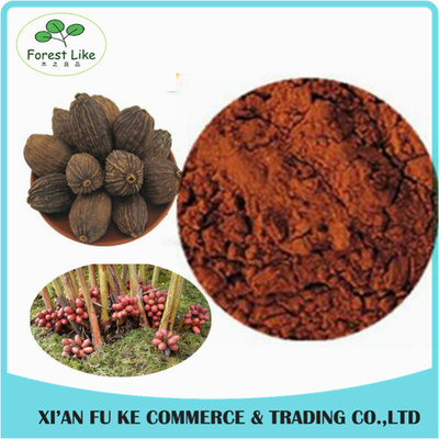 Tsaoko Amomum Fruit Extract / Fructus Tsaoko Extract Powder 4:1 - 20:1 supplier