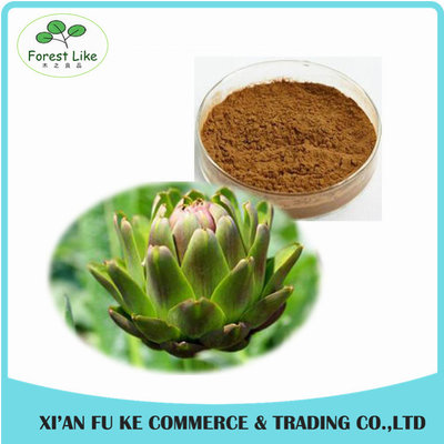Hot Product Bulk Food Grade Jerusalem Artichoke Extract Lunlin 90% Powder supplier