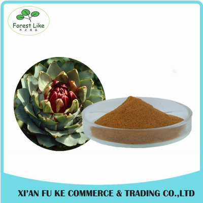 Hot Product Bulk Food Grade Jerusalem Artichoke Extract Lunlin 90% Powder supplier