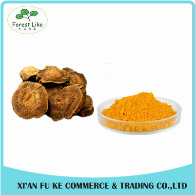 Traditional Chinese Herb Medicine Anti-tumor Product Dried Rhubarb Extract supplier