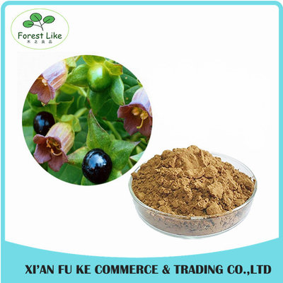 Atropa Belladonna Extract Powder Hyoscyamine 0.7% -1.5% supplier