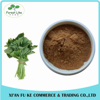 Organic Sweet Potato Leaf Extract Powder 10:1 for improve Hunman Immunity supplier