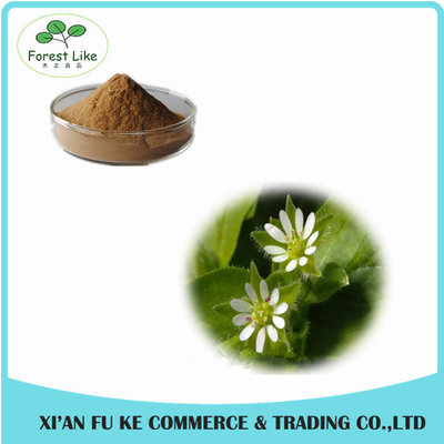Best Anti- cancer Effect Blushwood Berry Fruit Extract with EBC-46 supplier