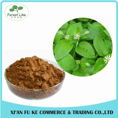 Best Anti- cancer Effect Blushwood Berry Fruit Extract with EBC-46 supplier