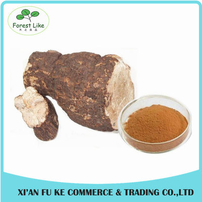 Recover Immunity Statem Chinese Herb Poria Cocos Extract supplier