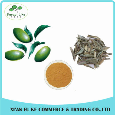 High Quality Olive Leaf Extract Oleuropein 25% supplier