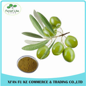 High Quality Olive Leaf Extract Oleuropein 25% supplier