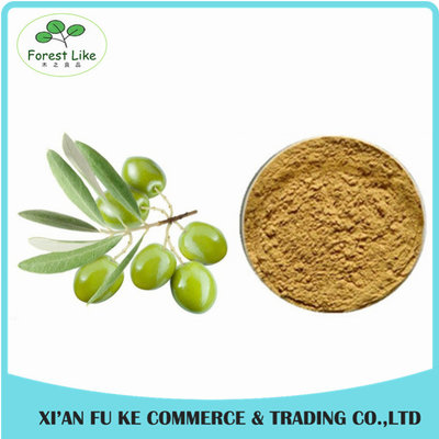 High Quality Olive Leaf Extract Oleuropein 25% supplier