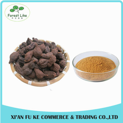 High Pure Physcion Powder 99% Fo-ti Root Extract supplier