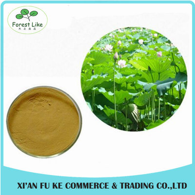 Chinese Herb Medicine Loss Weight Product Lotus Leaf Extract Powder supplier