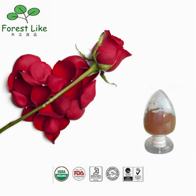 Skin Care Organic Plant Extract Rose Flower Extract supplier