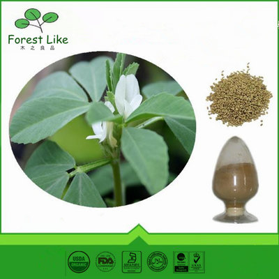 Fenugreek Seed / Trigonella Foenum-Graecum Extract Powder 50% Saponins supplier