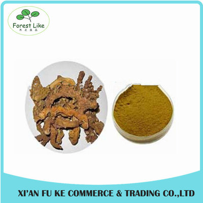 Aloe Gel Freeze-dried Extract powder 100:1 supplier