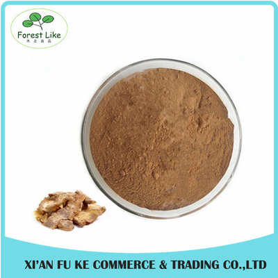 Aloe Gel Freeze-dried Extract powder 100:1 supplier