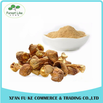 Agaricus Blazei Muril Extract Powder Polysaccharides 10% - 50% supplier