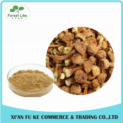 Agaricus Blazei Muril Extract Powder Polysaccharides 10% - 50% supplier